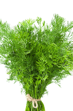 Egy Organic | الموقع الرسمي لبوابة الصادرات المصرية